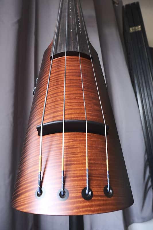 NS Design NXT4 Double Bass | Reverb