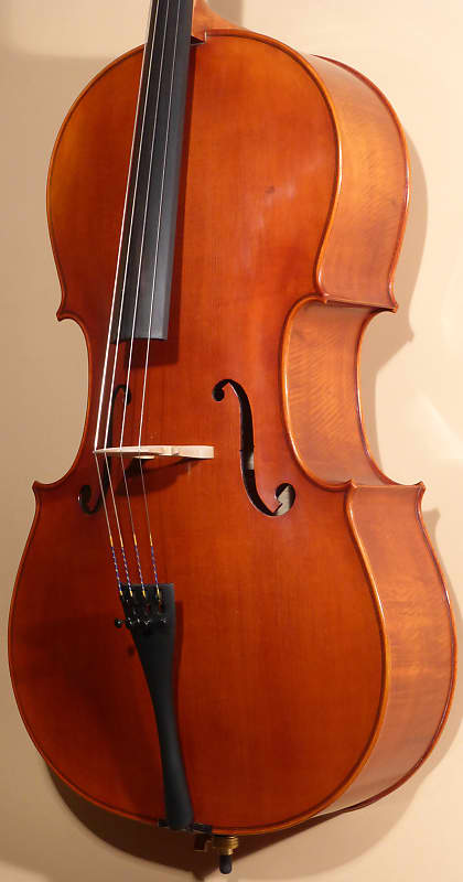New Ji Model 55 Exquisitus 4/4 Cello | Reverb