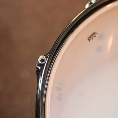 DW 6.5x14 Collector's Maple 333 Monkey Pod Snare Drum - | Reverb