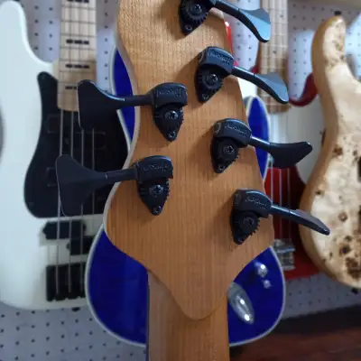 Alpher Mako 6 Elite EX Demo | Reverb