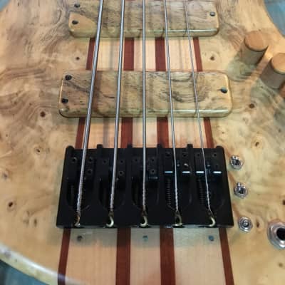Ray Roger R Bass 5 string | Reverb