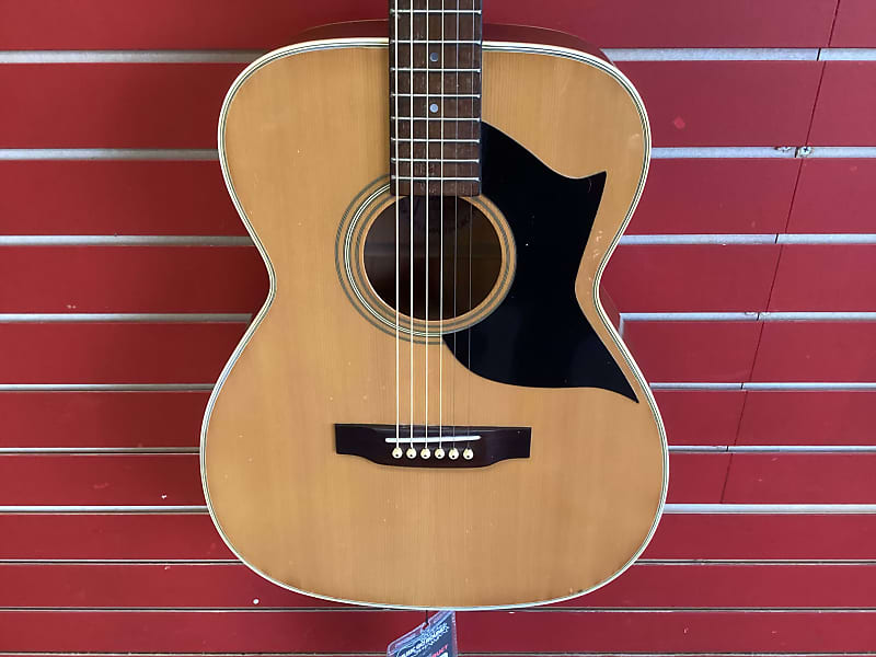 Goya G220 Acoustic Guitar | Reverb