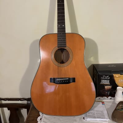 SIGMA DM-4 acoustic guitars