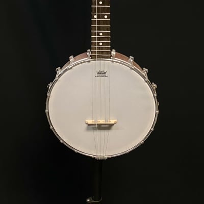 Alabama 5 String Travel Banjo - ALB50TR | Reverb Canada