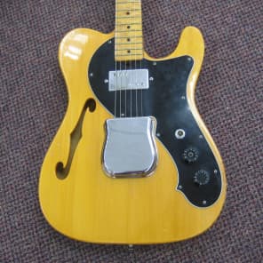 Electra ThinLine Telecaster Copy | Reverb
