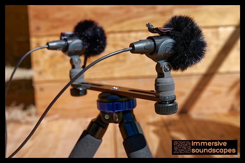 Earsight STANDARD - XLR - 1,5m cable - field recording | Reverb UK