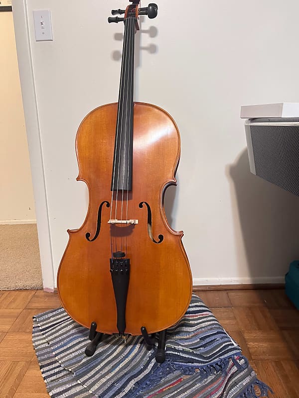 Panetto Strings Handmade Cello | Reverb