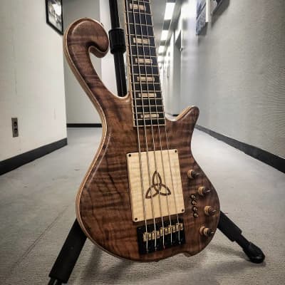 Stunning Shawn May Bass DCS5 Custom 5-String Bass w/ LED's, | Reverb