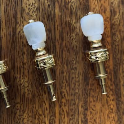 Waverly Banjo Hand Engraved Planetary Tuning Pegs 2023 - Gold | Reverb