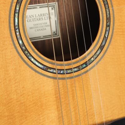 Larrivee D-10 1998 | Reverb