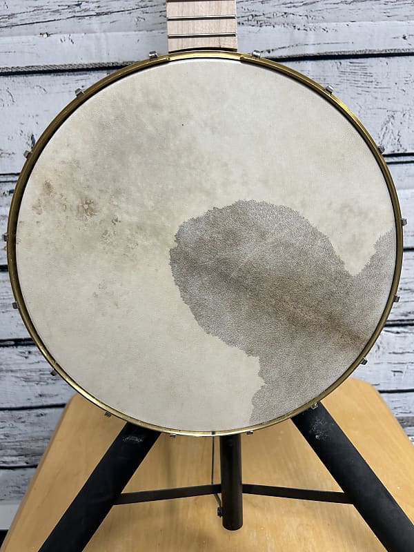 Black Dot Goat Hide Banjo Head - Pre-Mounted for a 12” Rim - | Reverb