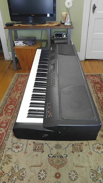Alesis DG8 | Reverb