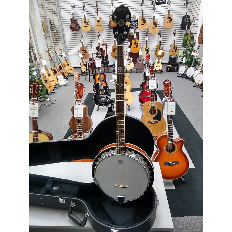 Highland Cheyenne Banjo | Reverb