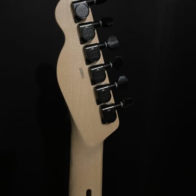 ASG Telemonster 2023 - Natural | Reverb