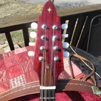 Beard Instruments Celtic mandolin #28 2010-2020 - Gloss | Reverb