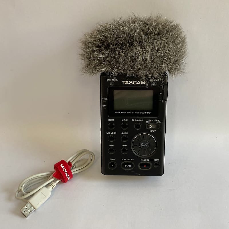 Tascam DR-100mkII 2-Channel Portable Digital | Reverb Australia