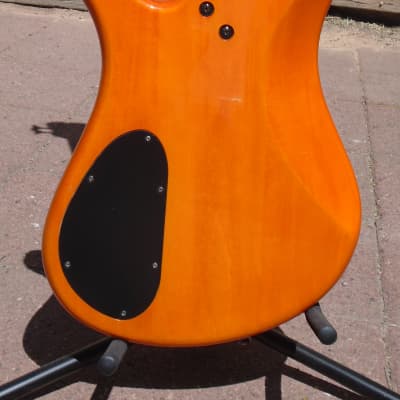 Spector Q5 Fretless 5-String Bass - Custom Unlined Wenge | Reverb