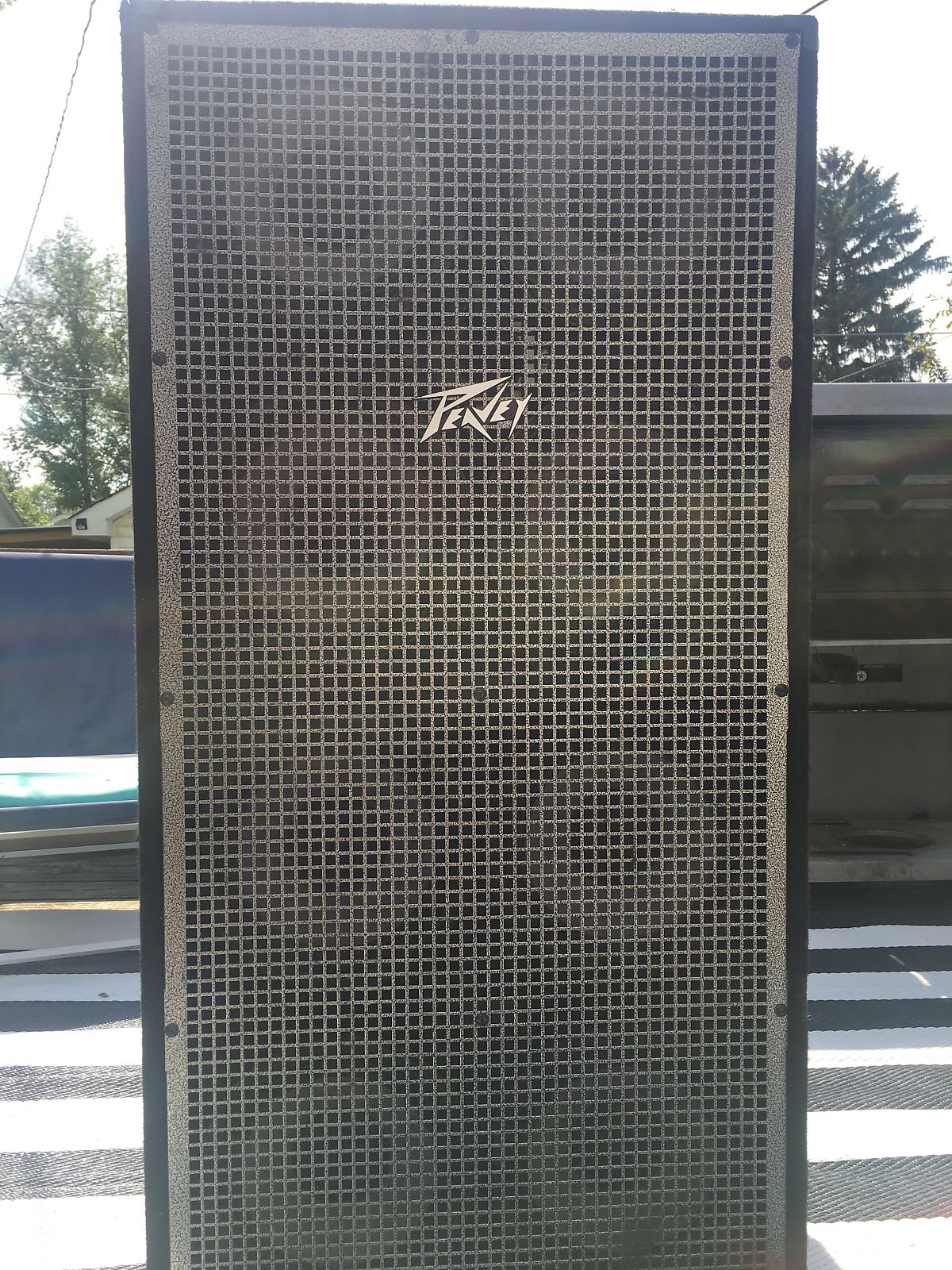 Peavey Pro 810 2800-Watt 8x10 Bass Cabinet with Tweeter | Reverb