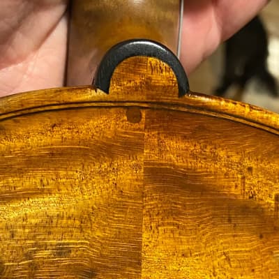 Professional Antique/Vintage German Violin from Karl Hermann | Reverb