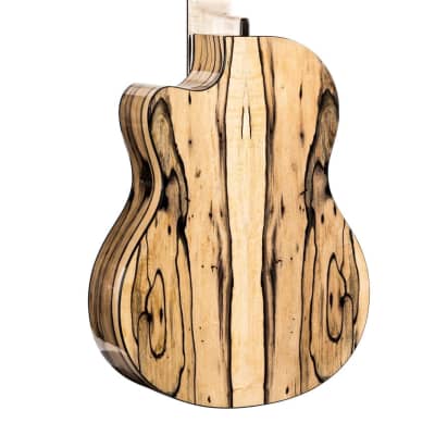 Turkowiak 5-String Acoustic Bass Guitar | Reverb Deutschland