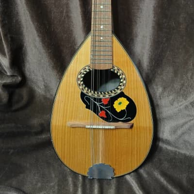 Stella Bowl Back Mandolin 1920s | Reverb