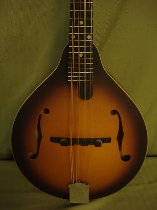 Recording King RAM-3-TS Mandolin with optional case. | Reverb