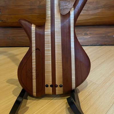 May Custom Basses DCSM4 | Reverb