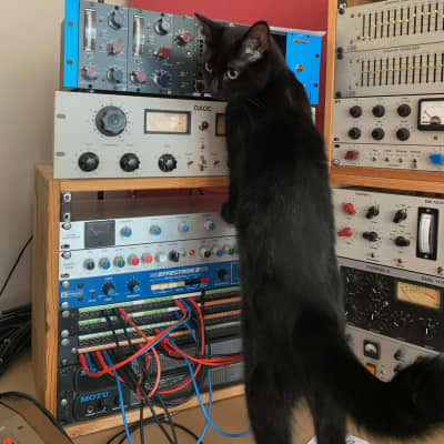 Nekotronics BussCat Red - 500 series mix buss compressor | Reverb UK