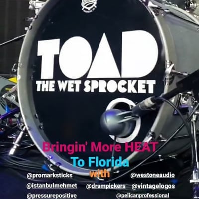 Josh Daubin’s (Toad The Wet Sprocket) Signature DrumPickers | Reverb