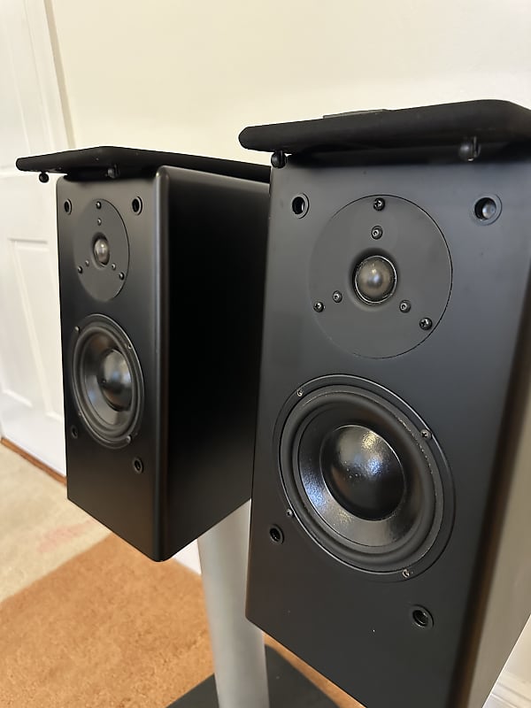 Renaissance Morel Acoustics Duet | Reverb