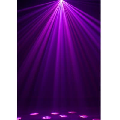 Eliminator Lighting VORTEX LED Moonflower Effect Light with | Reverb