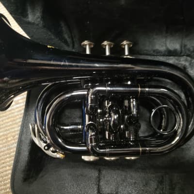 Bach Prelude PT-711 Black Pocket Trumpet--Nearly New | Reverb