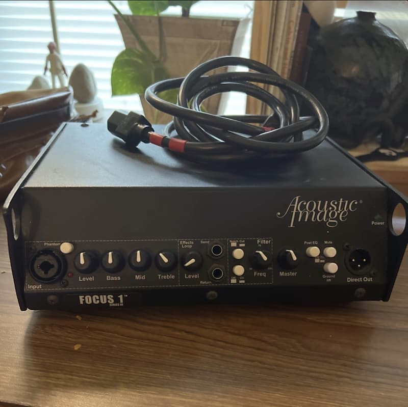 Acoustic Image Focus 1 Series iii 2010 Black - 900 Watts! | Reverb