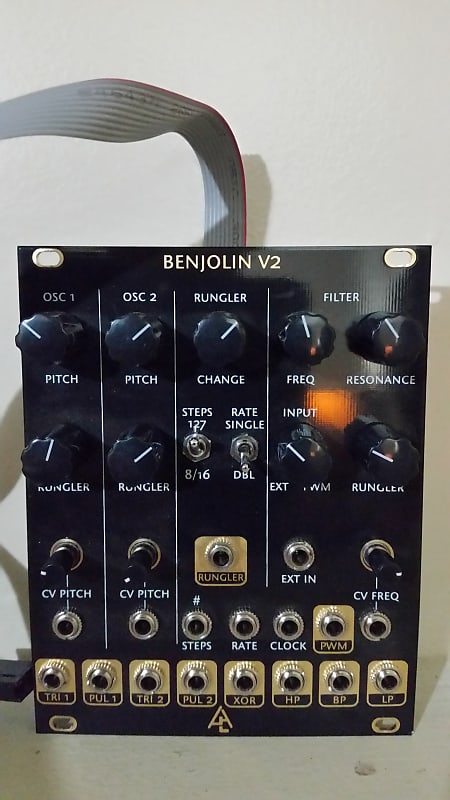 After Later Audio Benjolin V2 | Reverb