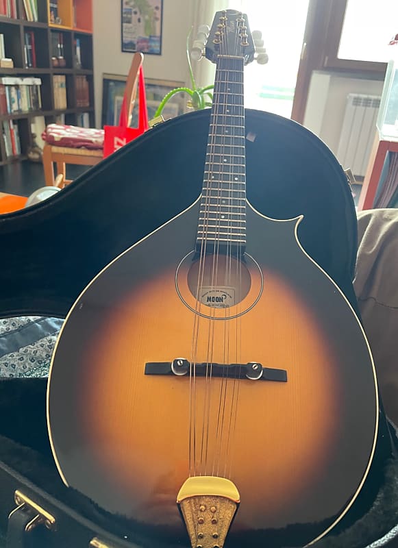 Jimmy Moon A+ | Reverb