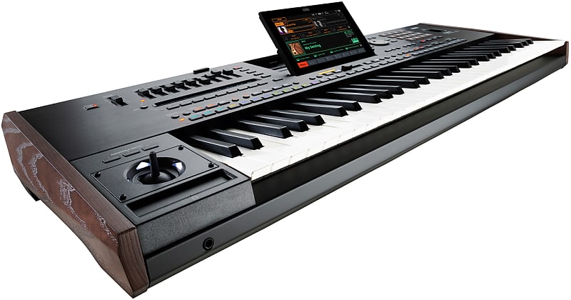 Korg PA5X61 61-Key Professional Keyboard / Arranger With | Reverb