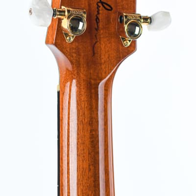 Maton Messiah Eric Johnson Owned & Signed | Reverb