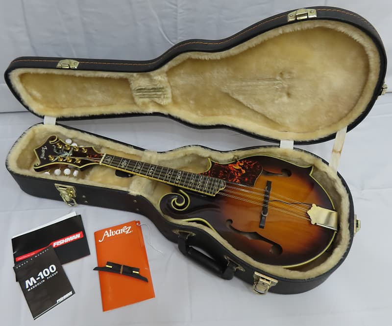 Alvarez A800 Mandolin w/ Fishman M-100 Bridge Pickup, Orig. | Reverb