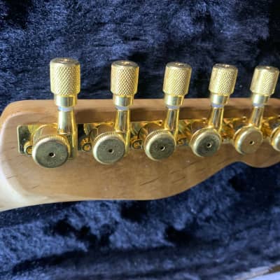 Warmoth Telecaster Thinline 2018 - Gloss | Reverb