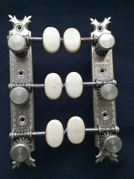 D.R.G.M. 76348 1898-1916 chrome/ivory Guitar Tuners Relic | Reverb