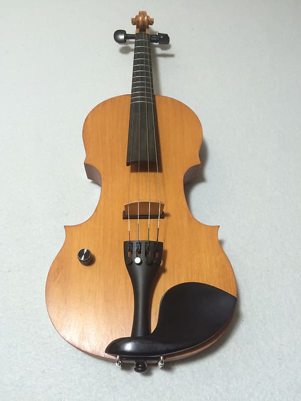 Fretted violin. Semi-acoustic / electric fiddle. Left hand | Reverb
