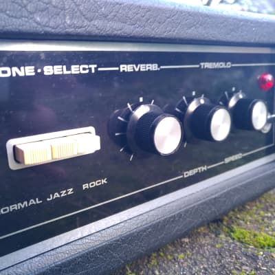 Amp head / 19" Rack | Reverb