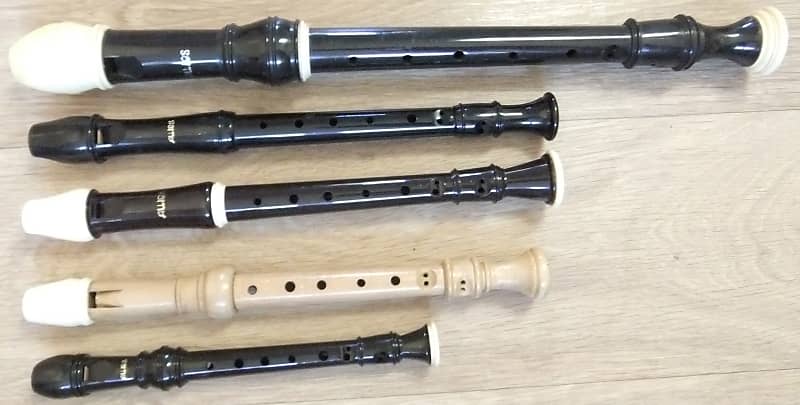 RARE, VINTAGE JOBLOT OF AULOS RECORDERS - ALTO, SOPRANO (3) & | Reverb