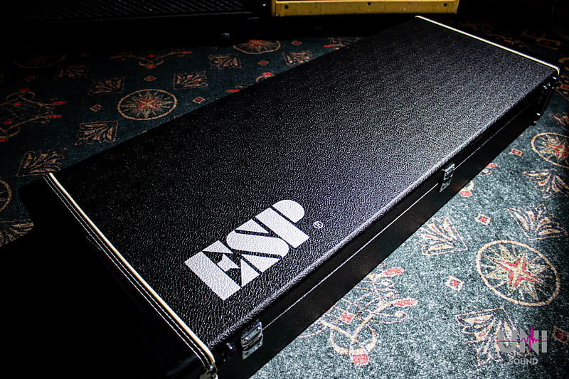 ESP Custom Order Horizon “God Maho” 2010 | Reverb