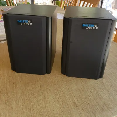 Rare Baltek Audio, Baltic 30, Black Latvian Birch, 1990's, | Reverb