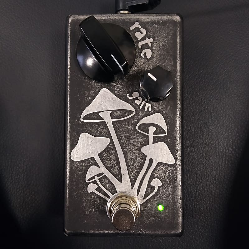 .PSHC pdls. Shrooms Phase v2 | Reverb