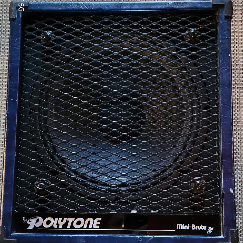 Polytone Mini Brute speaker cabinet | Reverb