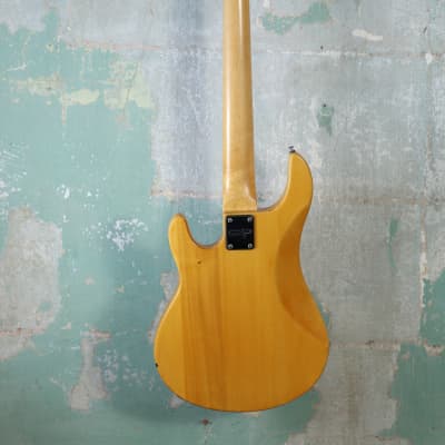 Ernie Ball OLP Bass Guitar - Natural | Reverb