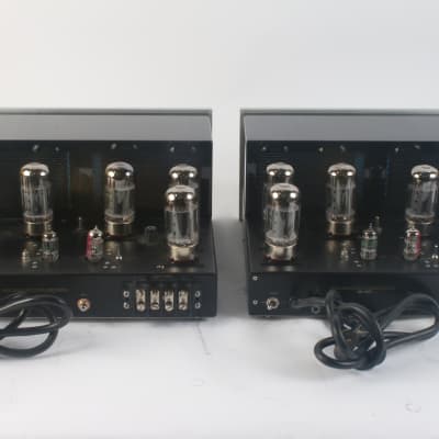 Bruce Moore Audio Designs Custom M225 Monoblock Tube | Reverb