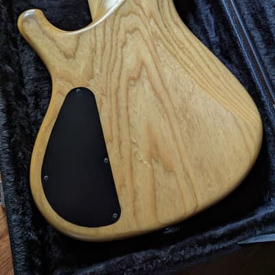 Legator Helio 300 PRO 5 String Bass | Reverb